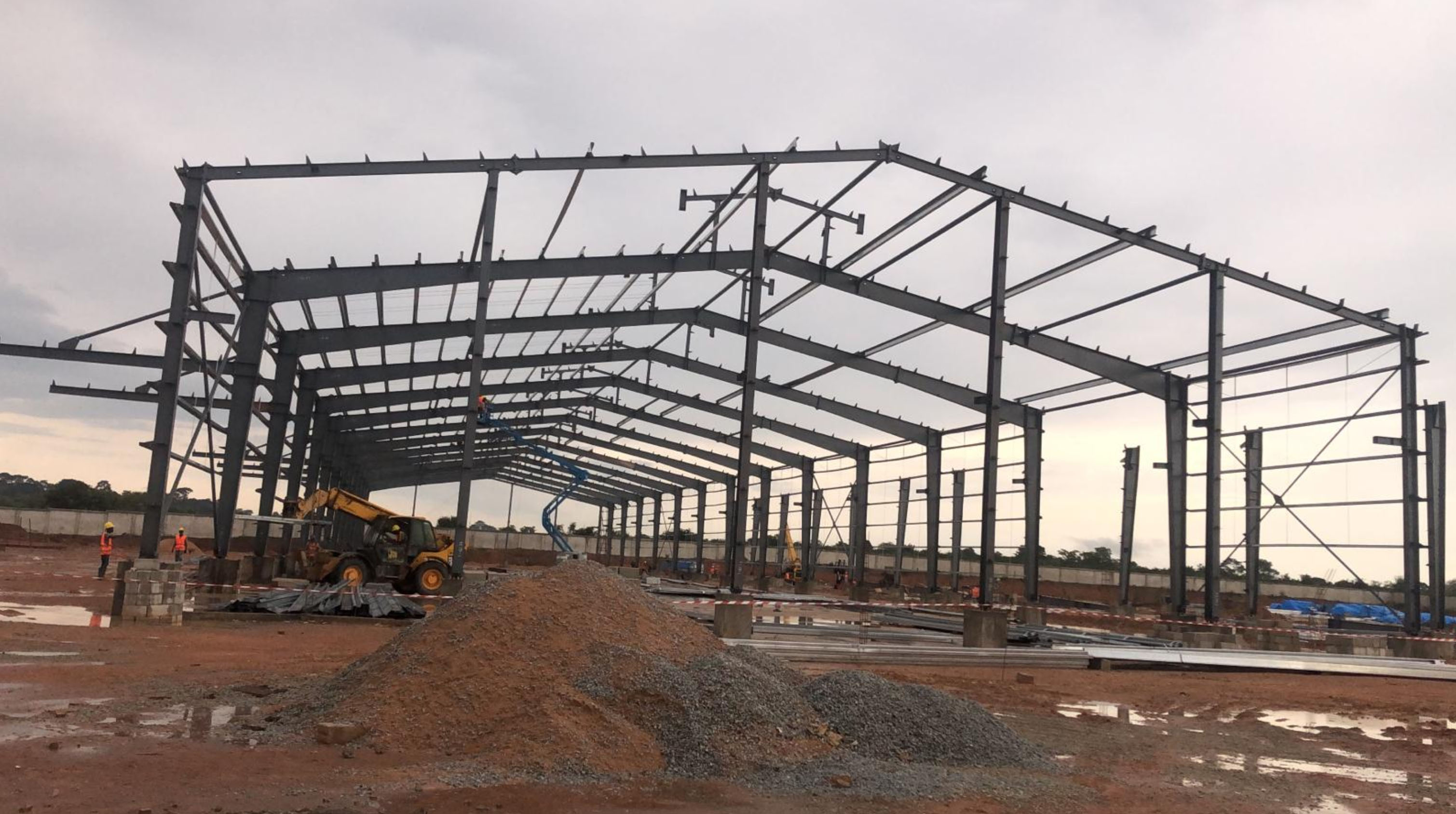 Dekel Agri-Vision - Cashew Plant Côte d'Ivoire